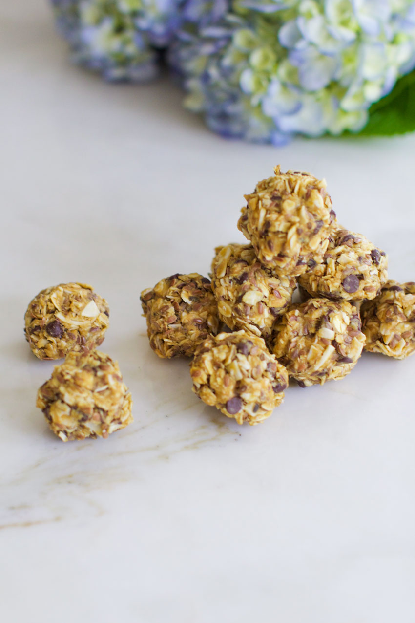 No Bake Energy Bites Recipe — Hello Adams Family