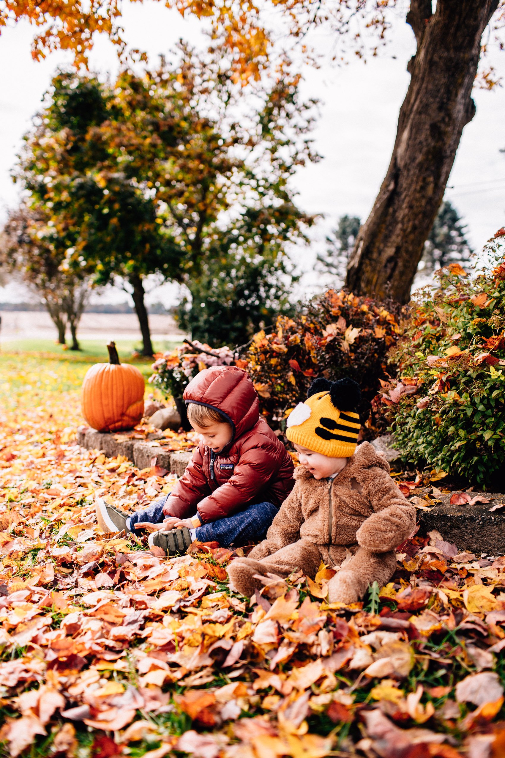 10 Fun Fall Activities to Do with Your Family — Hello Adams Family