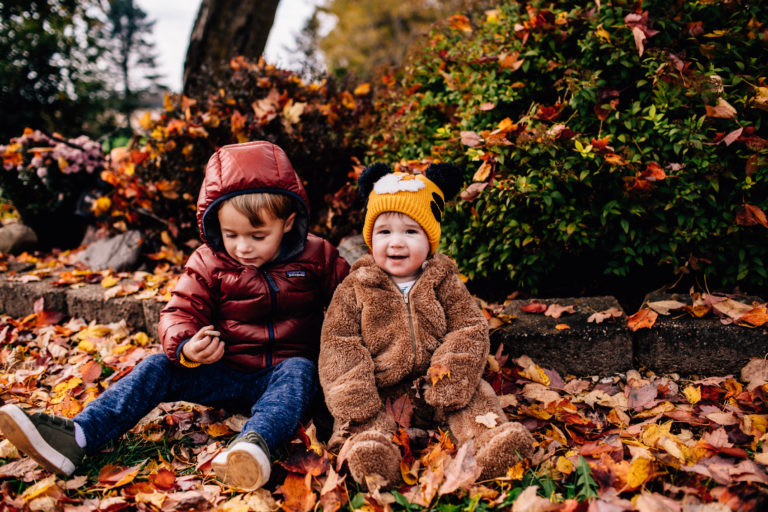 10 Fun Fall Activities to Do with Your Family — Hello Adams Family