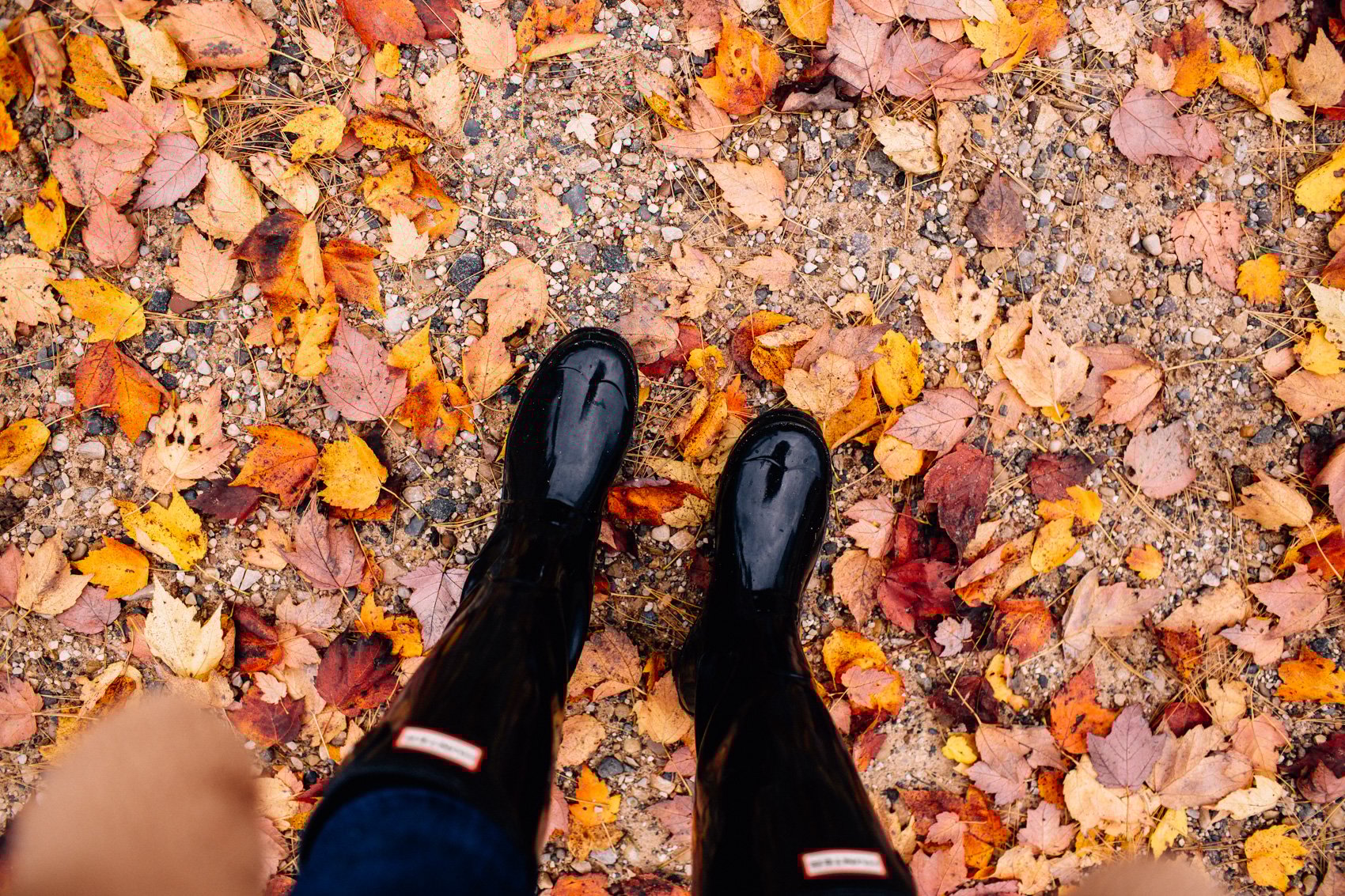 10 Fun Fall Activities to Do with Your Family — Hello Adams Family